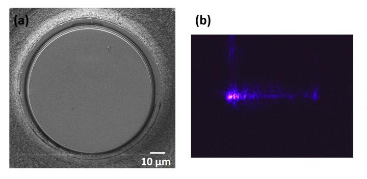 Microresonator [IMAGE] | EurekAlert! Science News Releases