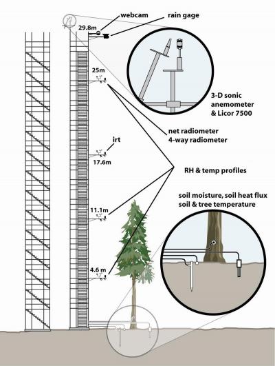 Flux Tower [IMAGE] | EurekAlert! Science News Releases