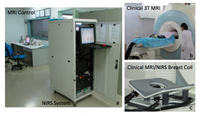 Overview of the MRI/NIRS Syste [IMAGE] | EurekAlert! Science News Releases