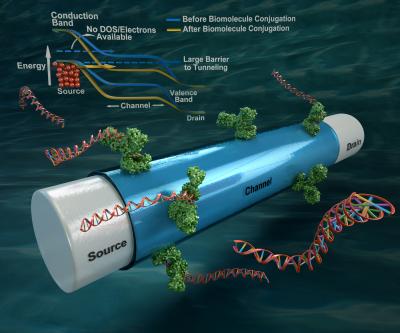 Tunnel-FET-Based Biosensor [IMAGE] | EurekAlert! Science News Releases
