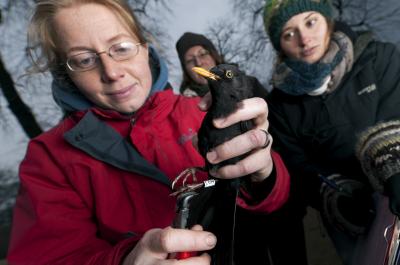 Anja Russ, Helmholtz Associati [IMAGE] | EurekAlert! Science News Releases