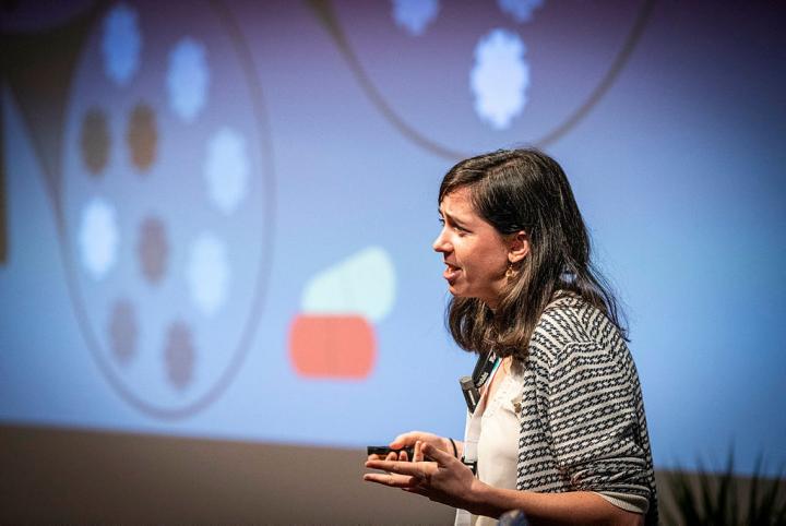 Dr Alison Feder Presenting Her [IMAGE] | EurekAlert! Science News Releases