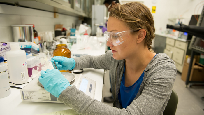 physicalScience-educationProgr [IMAGE] | EurekAlert! Science News Releases