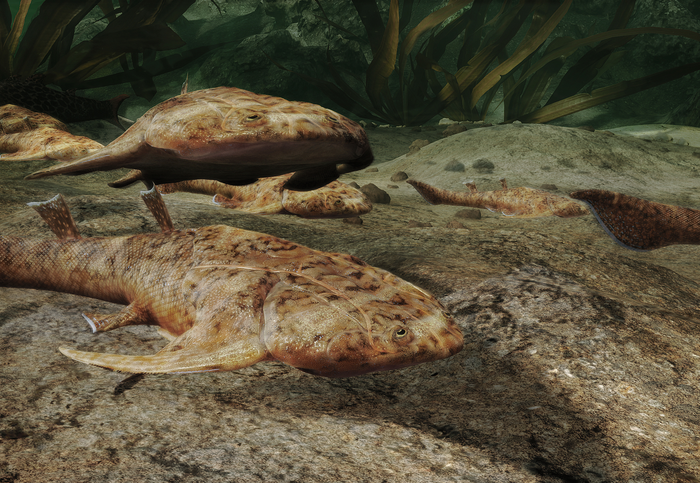 Life reconstruction of Xiushan [IMAGE] | EurekAlert! Science News Releases
