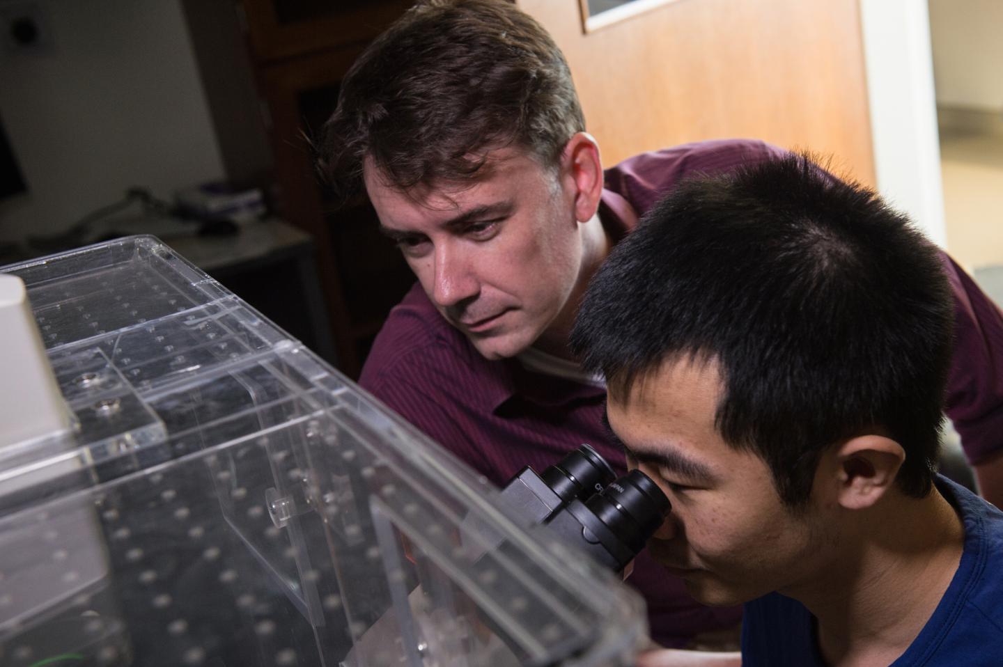 Matthew Bennett and Ye Chen, R [IMAGE] | EurekAlert! Science News Releases