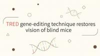 Gene-editing Technique Restores Vision of Bli | EurekAlert!