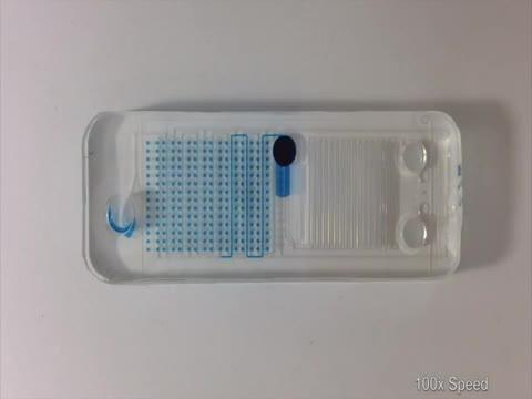 Portable, Handheld Chip for On-demand Detecti | EurekAlert!