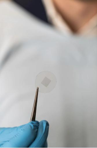 Artificial retina [IMAGE] | EurekAlert! Science News Releases