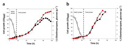 Fed-batch Fermentation Profile [IMAGE] | EurekAlert! Science News Releases
