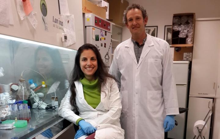 Inbar Amit-Avraham and Ron Dzi [IMAGE] | EurekAlert! Science News Releases