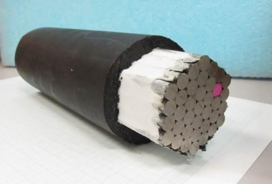 PC Steel Wires On Concrete and [IMAGE] | EurekAlert! Science News Releases