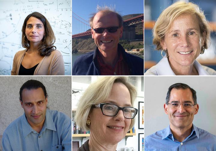 Six Berkeley Lab scientists named AAAS fellow | EurekAlert!