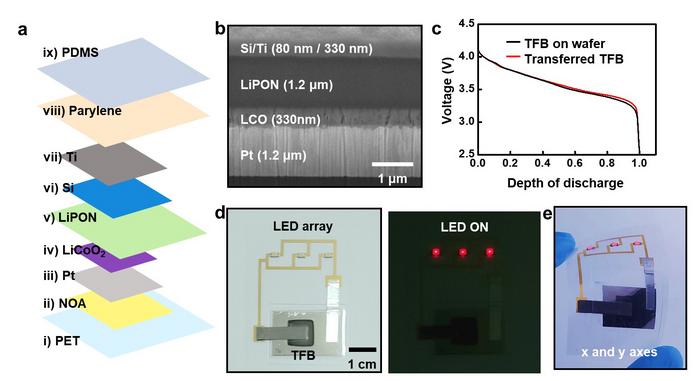 Figure 3 [IMAGE] | EurekAlert! Science News Releases