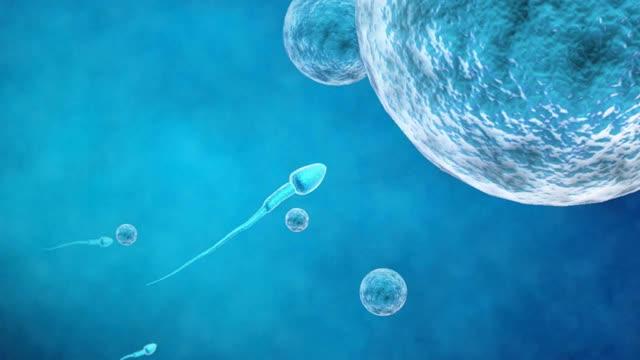 Wrapping up DNA for a Cell | EurekAlert!