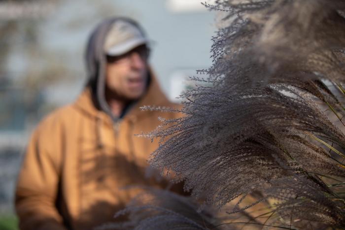 INVASIVES [IMAGE] | EurekAlert! Science News Releases