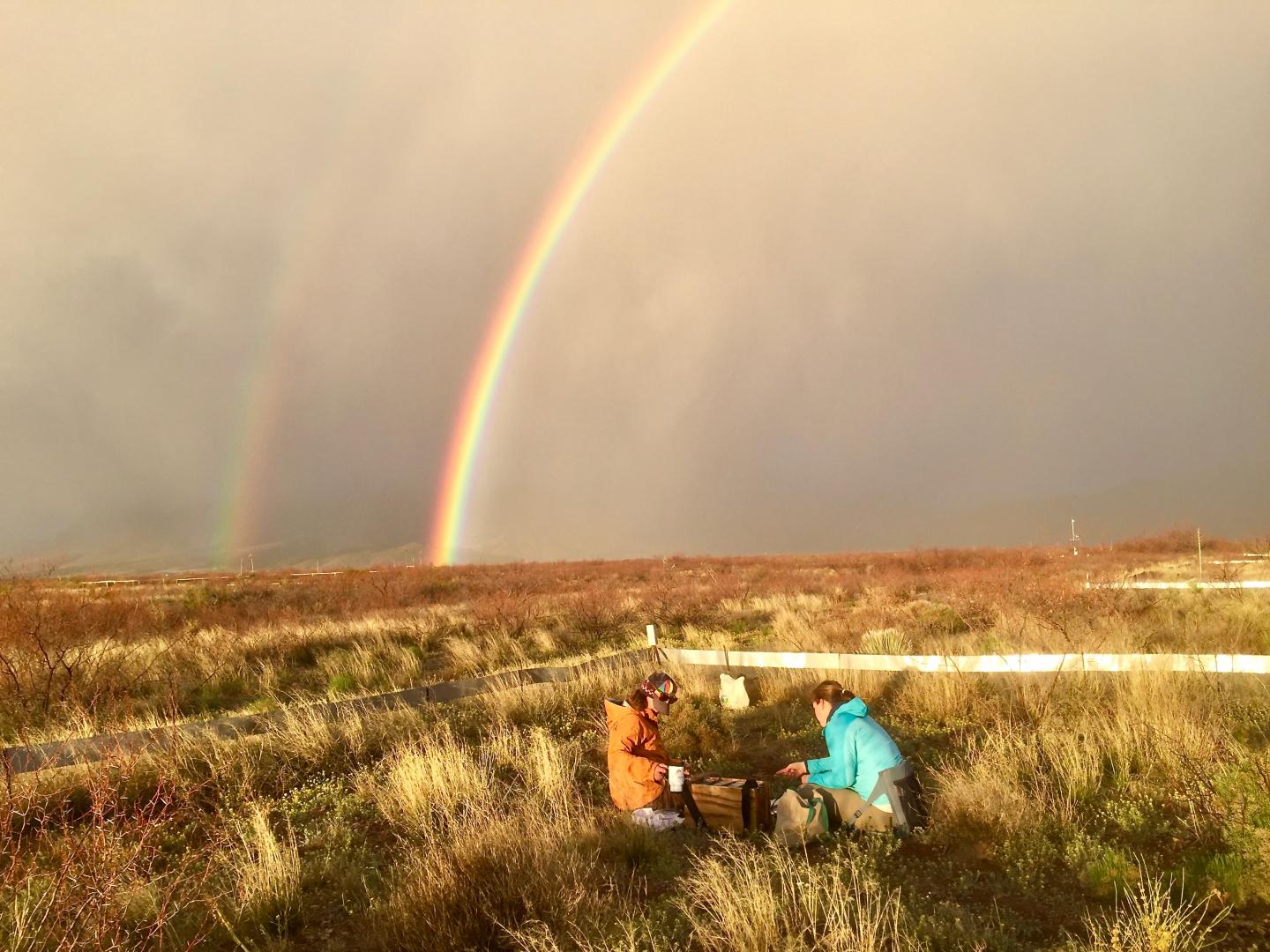 Second Place Winner -- Joan Me [IMAGE] | EurekAlert! Science News Releases