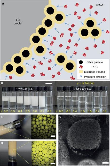Processable high internal phase pickering emu | EurekAlert!