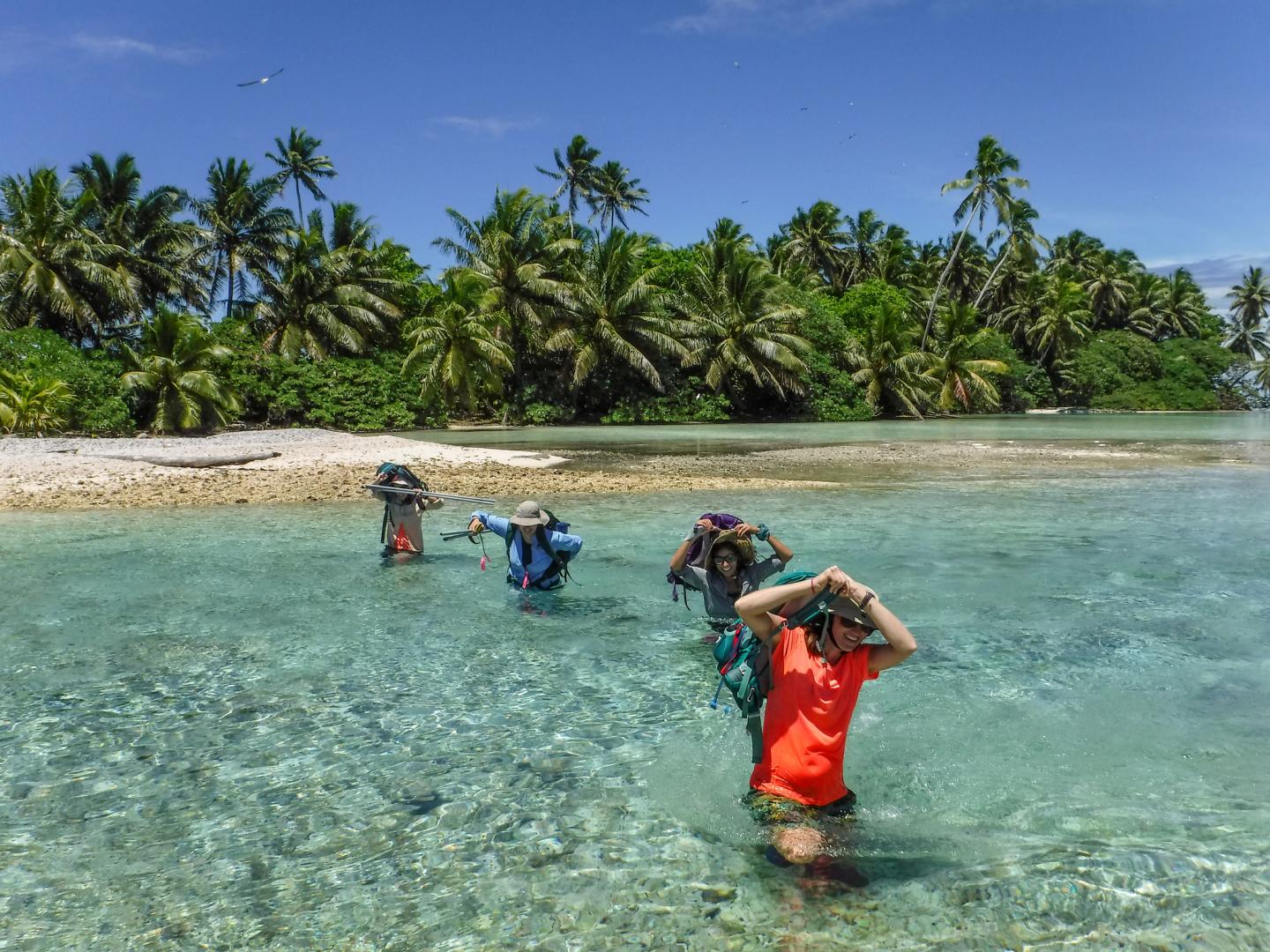 Field Work on Palmyra Atoll, L [IMAGE] | EurekAlert! Science News Releases