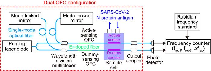Fig2.Active-dummy temperature [IMAGE] | EurekAlert! Science News Releases