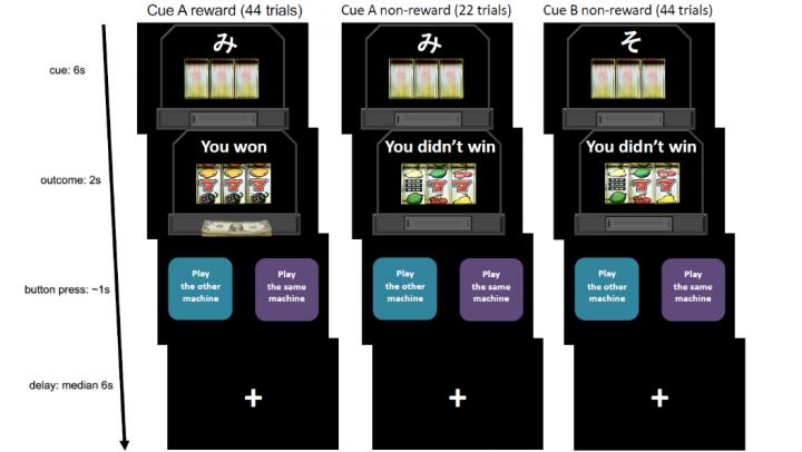 Slot Machine Game [IMAGE] | EurekAlert! Science News Releases