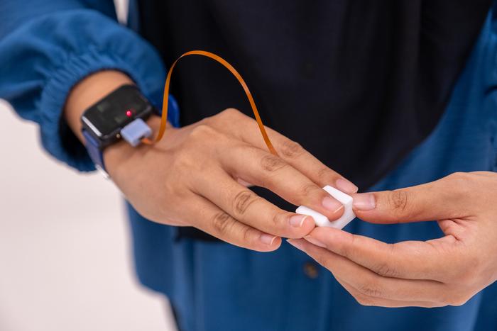 The HapSense system consists o [IMAGE] | EurekAlert! Science News Releases