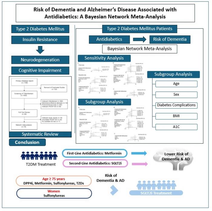 Graphical Abstract Depicting T IMAGE EurekAlert Science News Releases