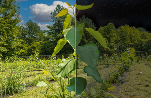 The cycle of light: Analyzing how cellular pr | EurekAlert!