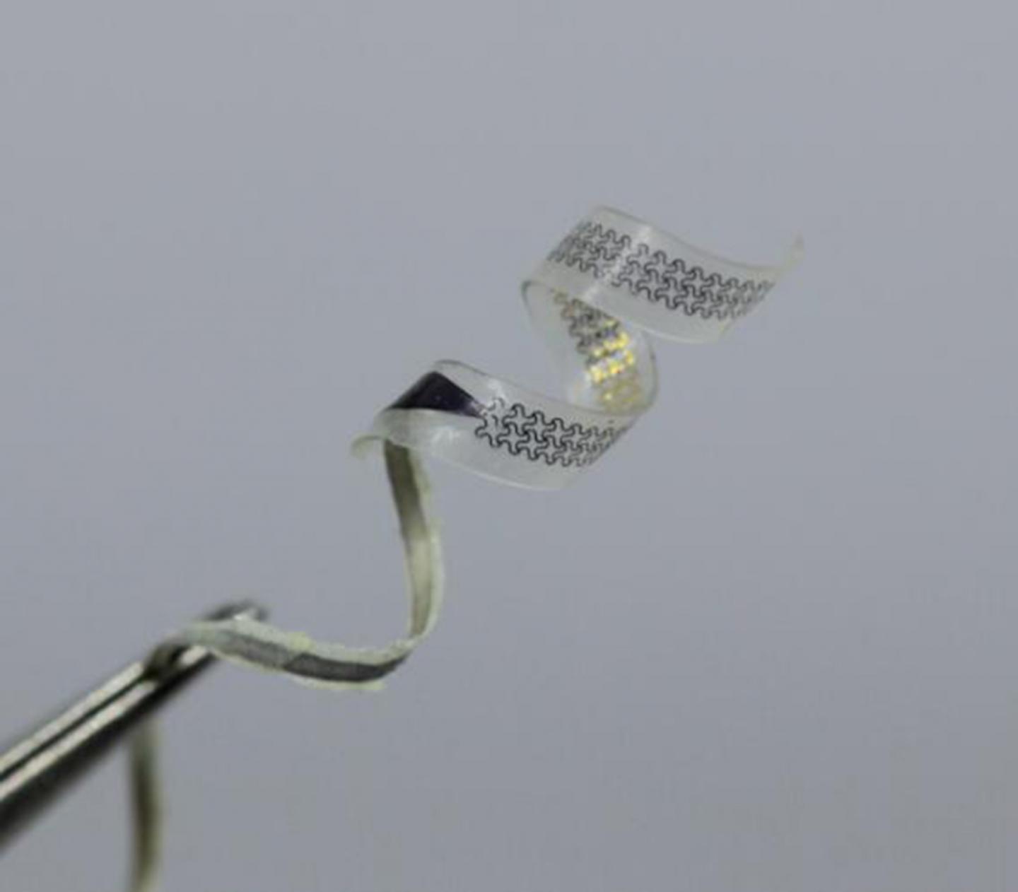 Climbing-Inspired Twining Electrodes Using Sh | EurekAlert!