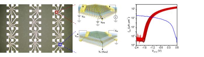 Figure 2. Ultra-miniaturized t [IMAGE] | EurekAlert! Science News Releases