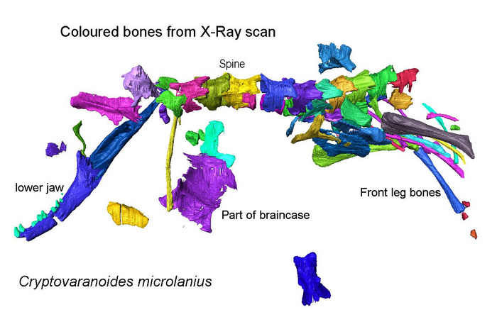 Fig 6 [IMAGE] | EurekAlert! Science News Releases