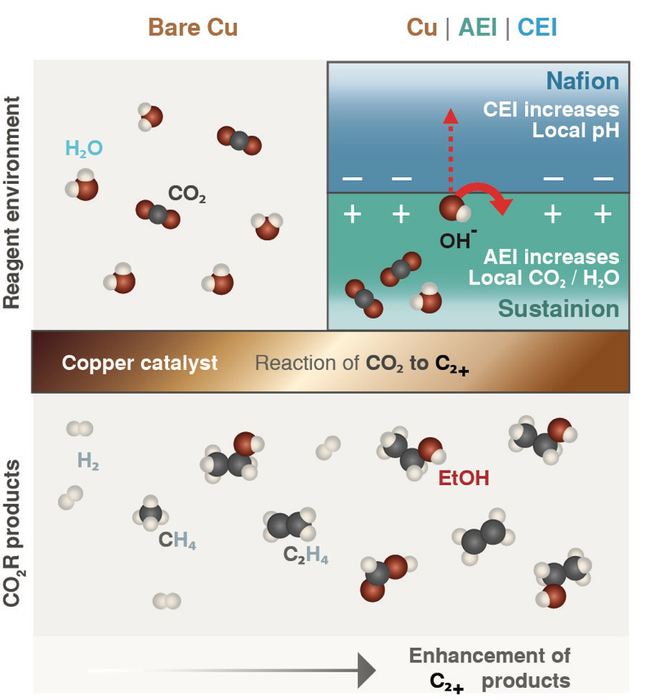New technique improves conversion of carbon d | EurekAlert!