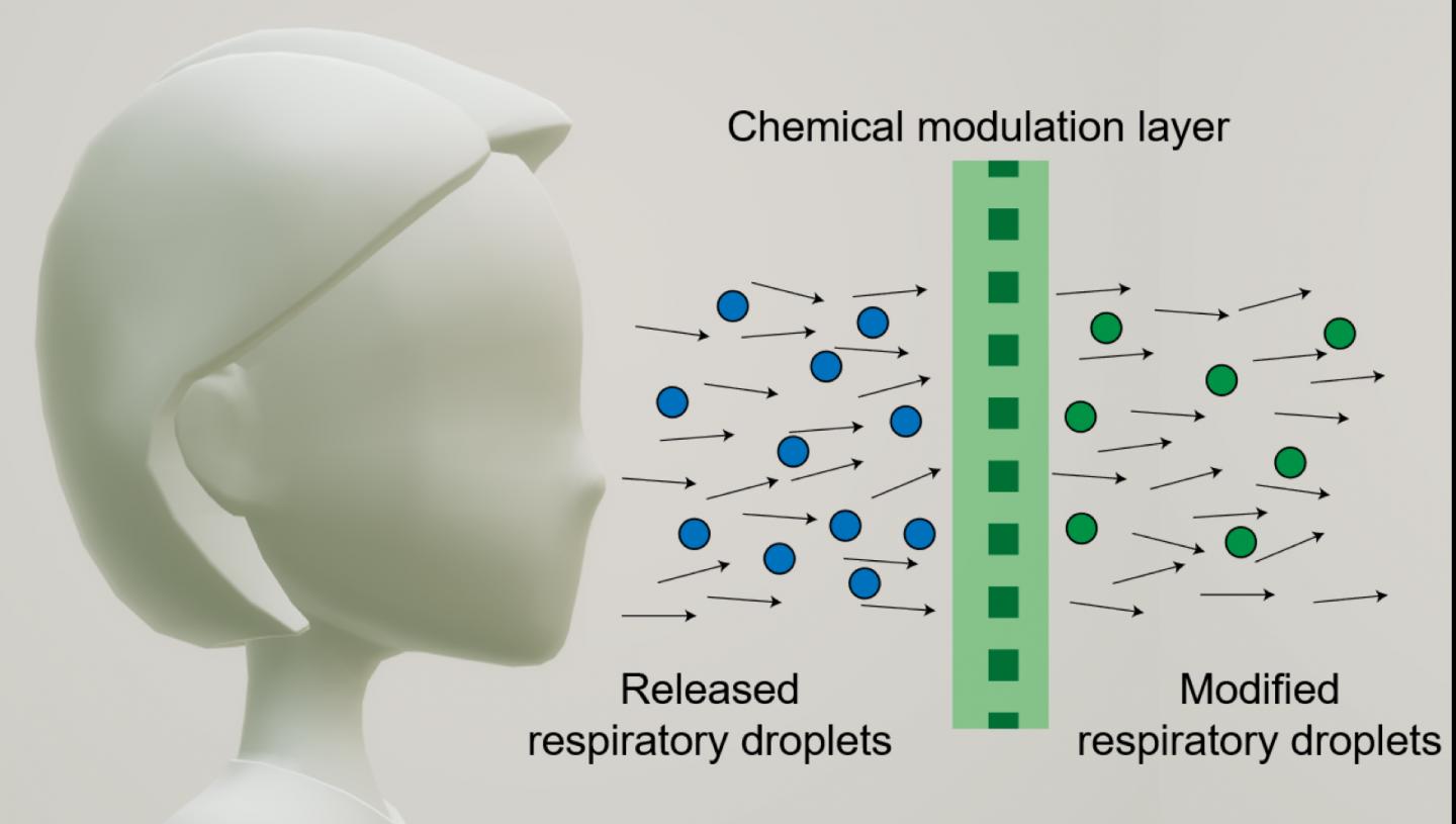 Schematic of mask [IMAGE] | EurekAlert! Science News Releases