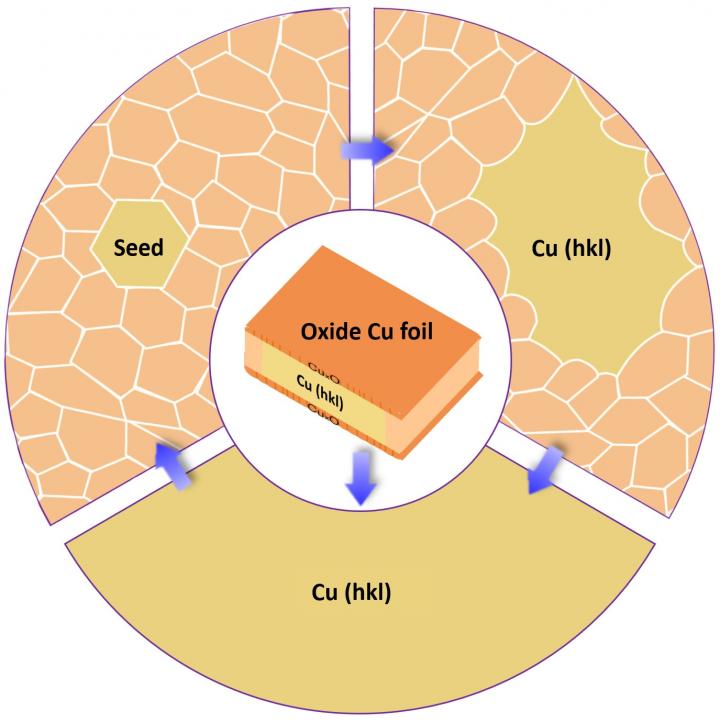 Figure 1 [IMAGE] | EurekAlert! Science News Releases