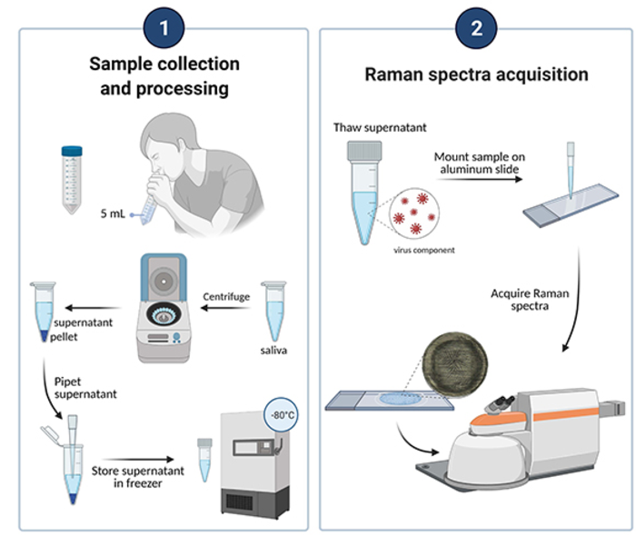 Researchers develop a reagent- [IMAGE] | EurekAlert! Science News Releases