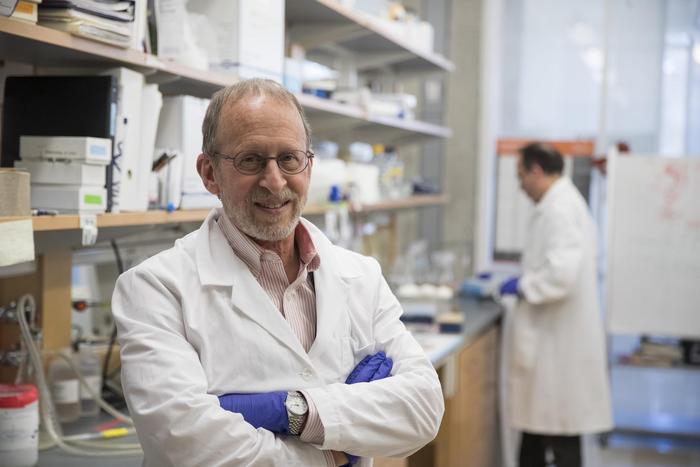 Alzheimer’s discovery reveals [IMAGE] | EurekAlert! Science News Releases