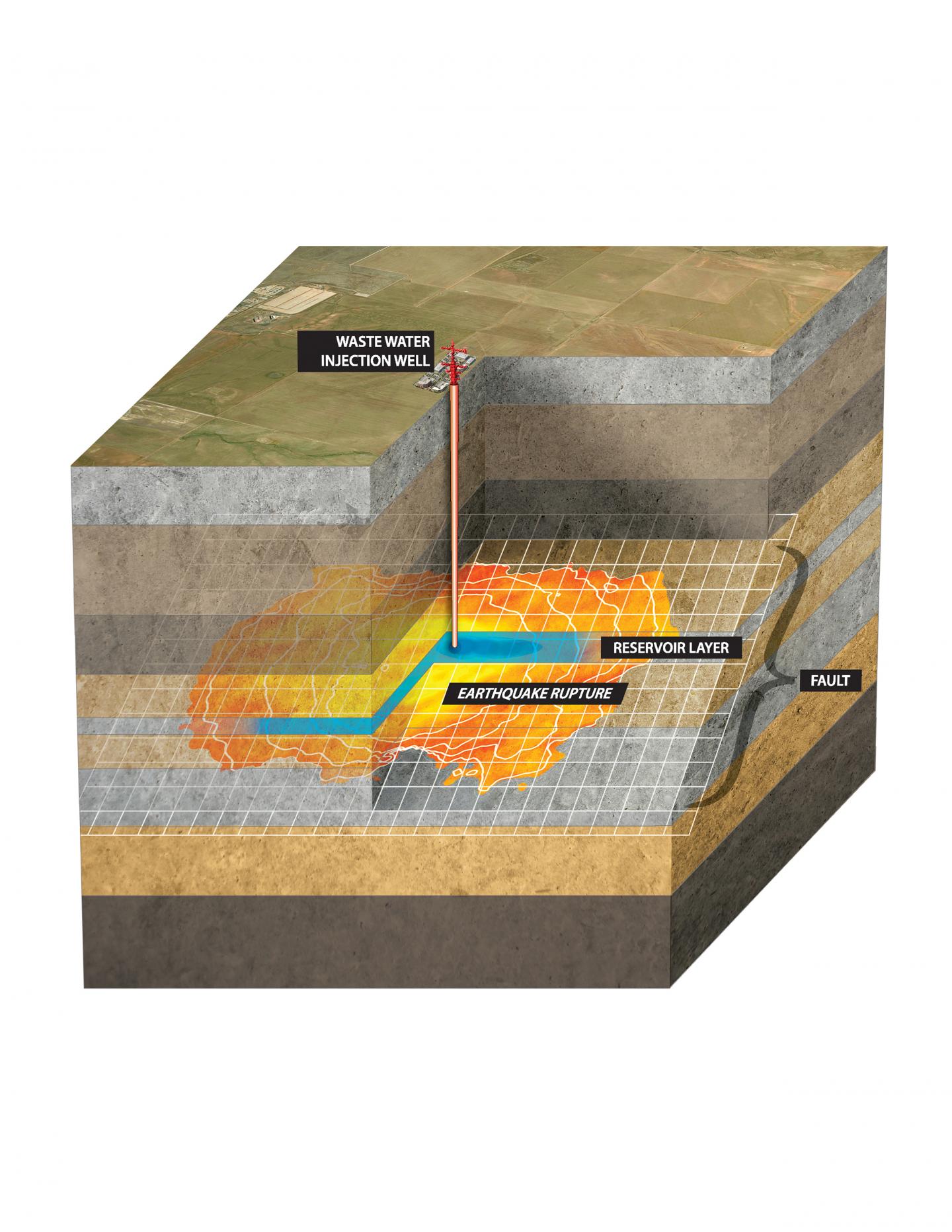 Progress Toward Estimating the Size of Induce | EurekAlert!