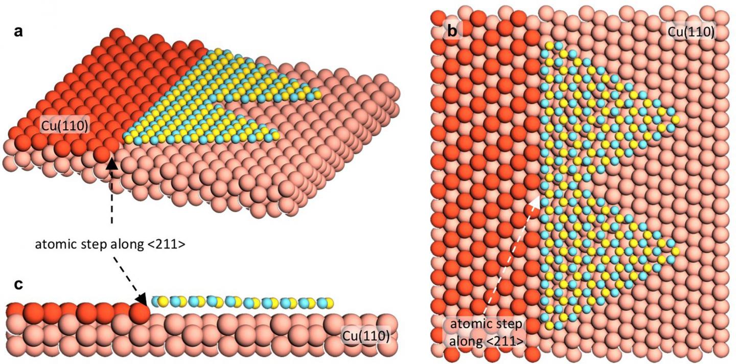 How to enlarge 2D materials as single crystal | EurekAlert!