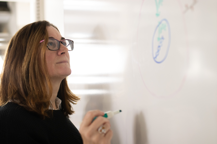 Koblinski at the whiteboard [IMAGE] | EurekAlert! Science News Releases