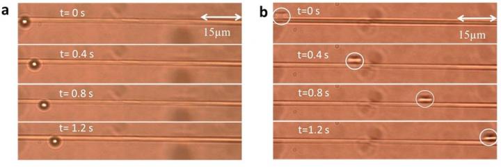 Higher Order Mode is Faster [IMAGE] | EurekAlert! Science News Releases