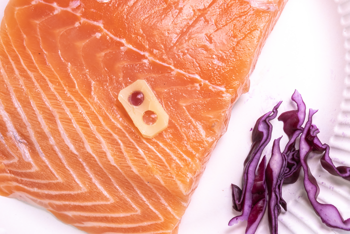 Self-Powered Edible Defrosting [IMAGE] | EurekAlert! Science News Releases