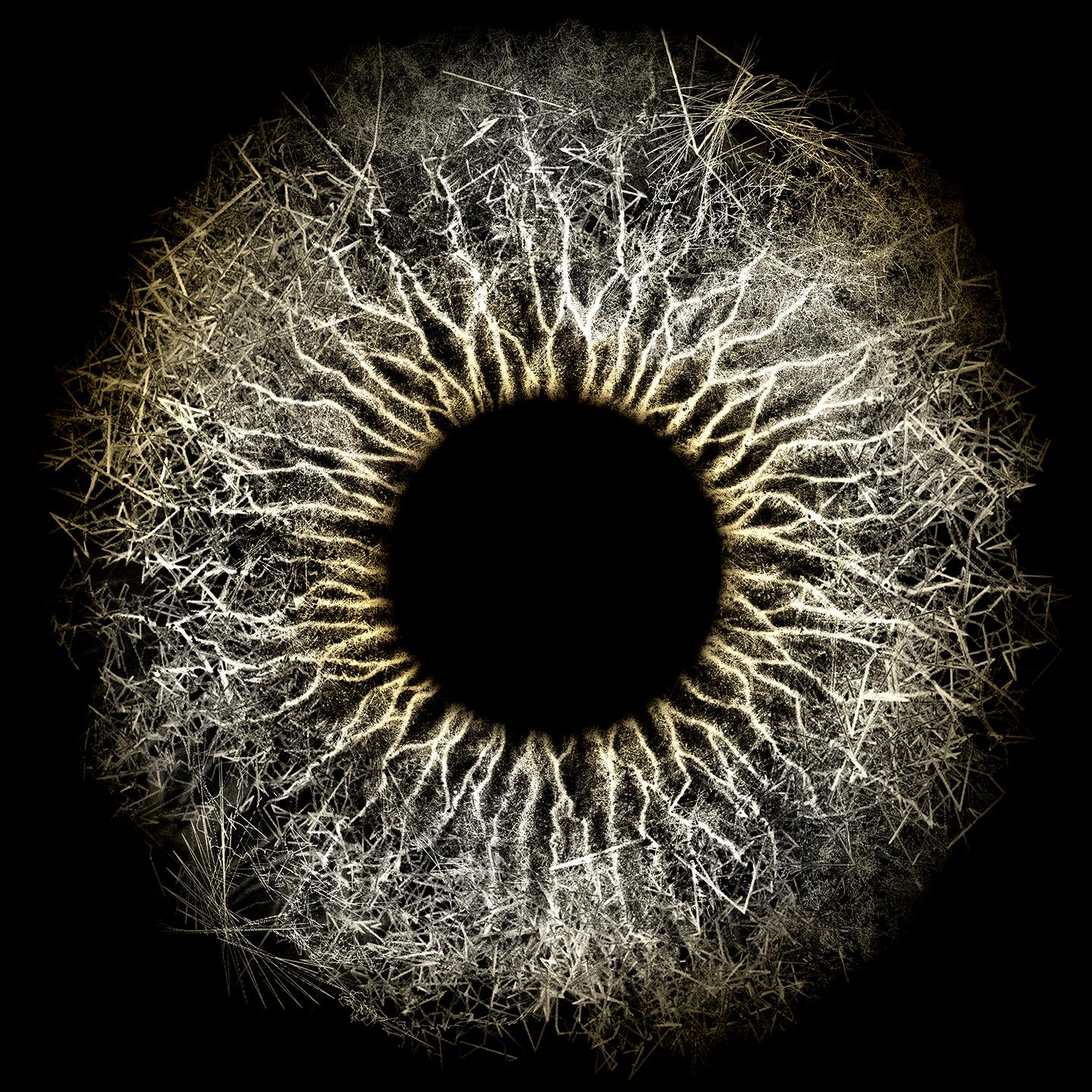 Chromos Cover [IMAGE] | EurekAlert! Science News Releases