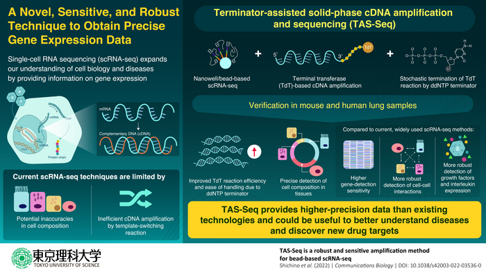 Terminator-assisted solid-phas [IMAGE] | EurekAlert! Science News Releases