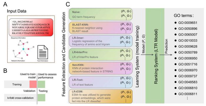 Workflow of the NetGO 3.0 fram [IMAGE] | EurekAlert! Science News Releases