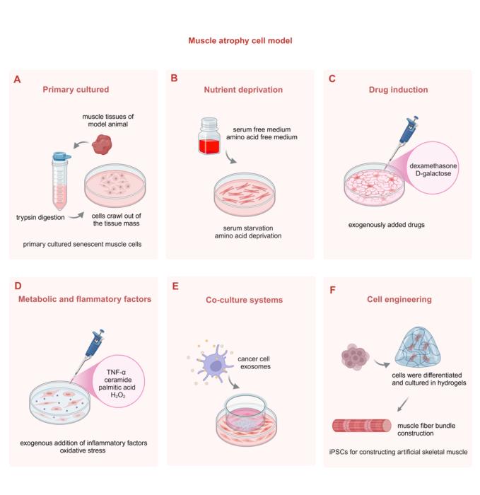 Figure 4: Methods of inducing [IMAGE] | EurekAlert! Science News Releases