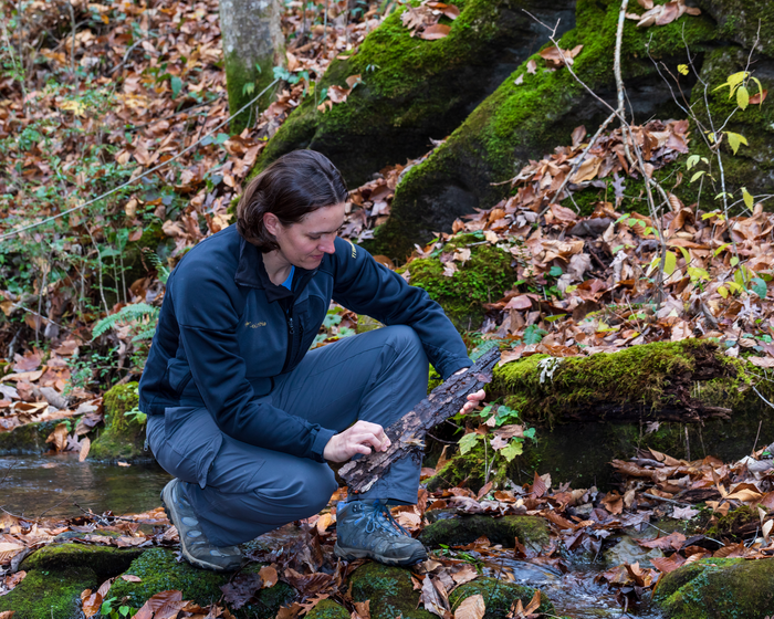 ORNL researcher Natalie Griffi [IMAGE] | EurekAlert! Science News Releases