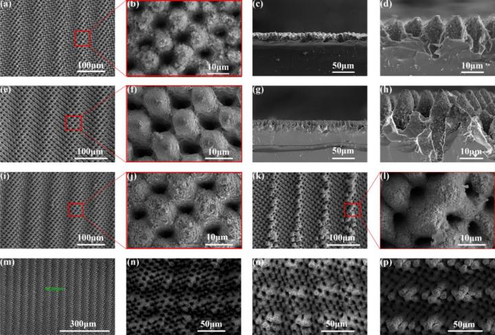 Scanning Electron Microscope ( [IMAGE] | EurekAlert! Science News Releases