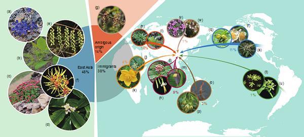 Geographical Origins [IMAGE] | EurekAlert! Science News Releases