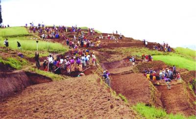 Labor Intensive Works [IMAGE] | EurekAlert! Science News Releases