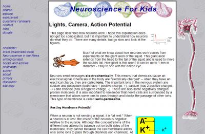 Neuroscience Website Wins Prestigious Scie | EurekAlert!
