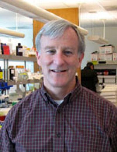 Enzyme might be target for treating smoking, | EurekAlert!